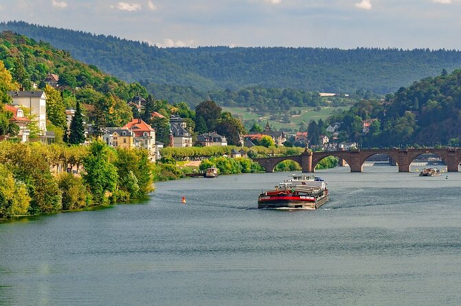 Private day trip: from Frankfurt to Heidelberg and back - Who Should Consider This Tour?