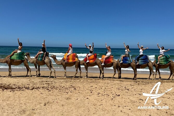 Private Day Trip from Seville to Tangier All Inclusive - First Stop: Parc Perdicaris