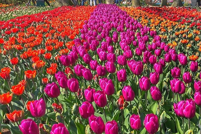 Private Day Trip to Keukenhof Gardens with Entrance Tickets - Who Will Love This Tour?