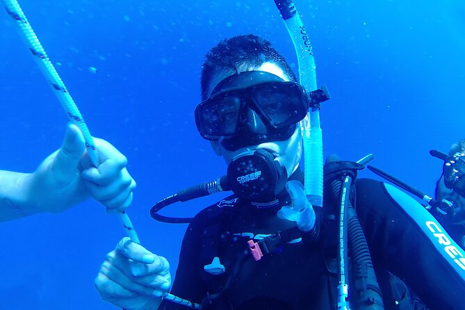 Private Diving Cyprus Experience Protaras and Ayia Napa & Turtles - Who Will Love This Tour?