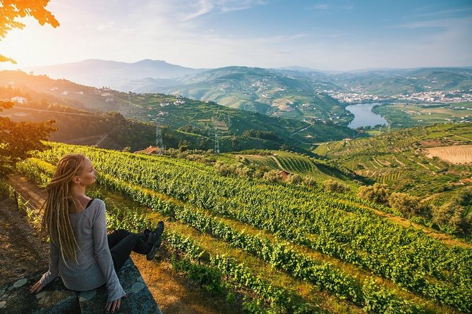 Private Douro Valley Wine Tour: 2 Wine Estates, Lunch and Cruise - In Summary: Why Choose This Tour?