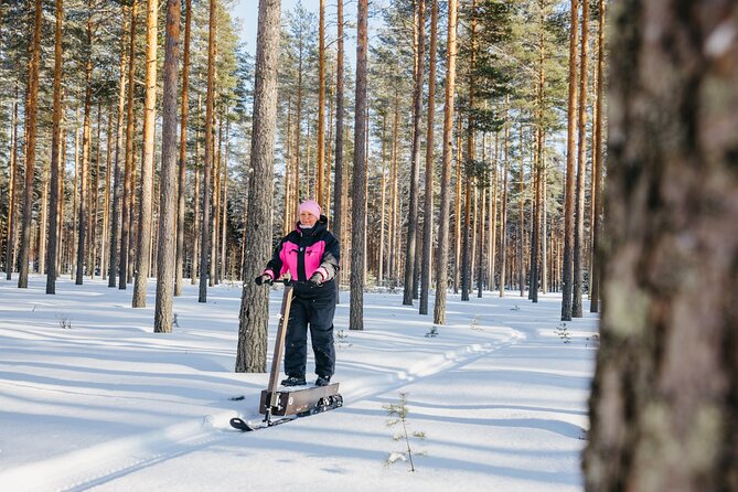 Private Driving Snow Scooters Experience in Finland - Why This Tour Works