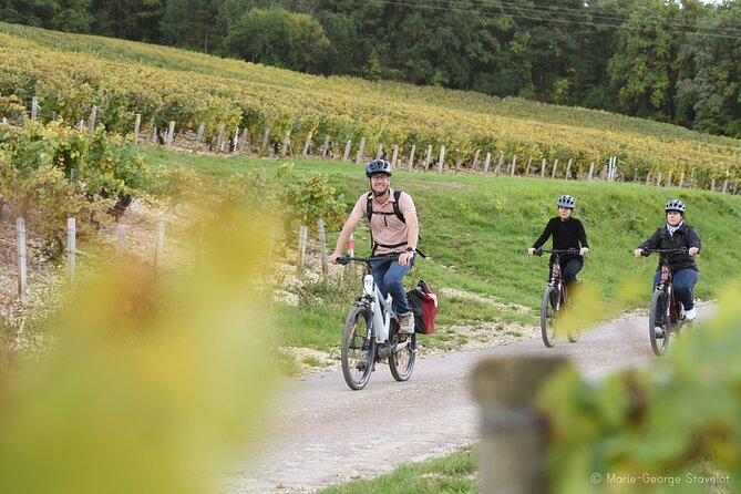 Private e-bike tour with a guide in the Vineyards of Chablis - The Bottom Line: Who Should Consider This Tour?