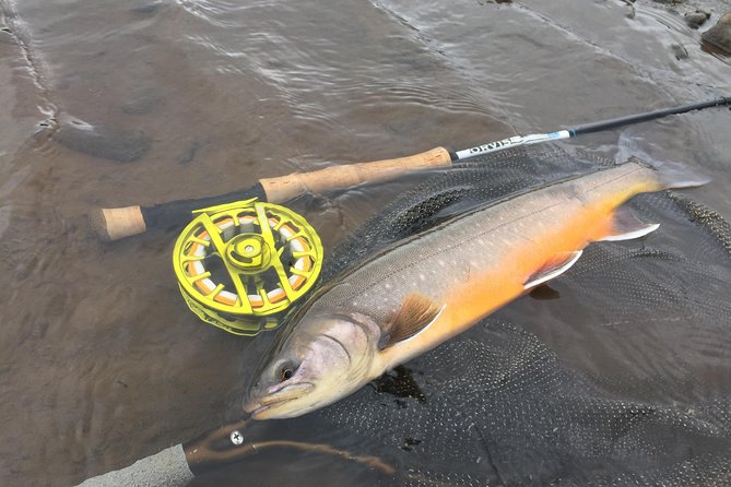 Private Fishing Tour from Reykjavik - Arctic Char and Brown Trout - Who Would Love This Tour?