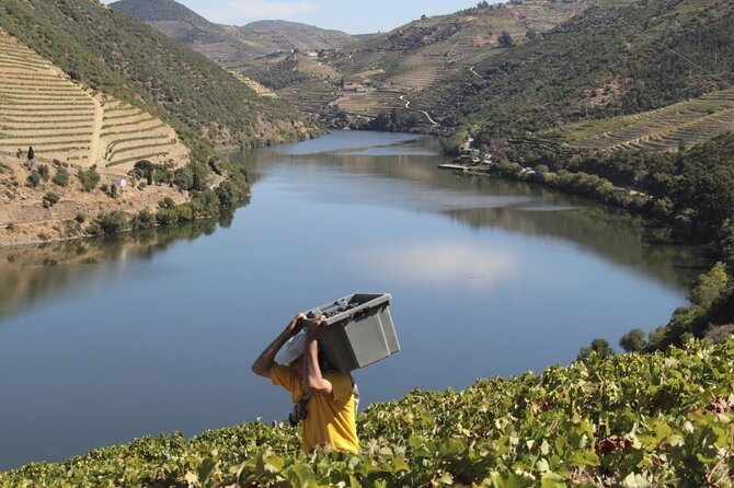 Private Full Day Douro Tour with Lunch - FAQ