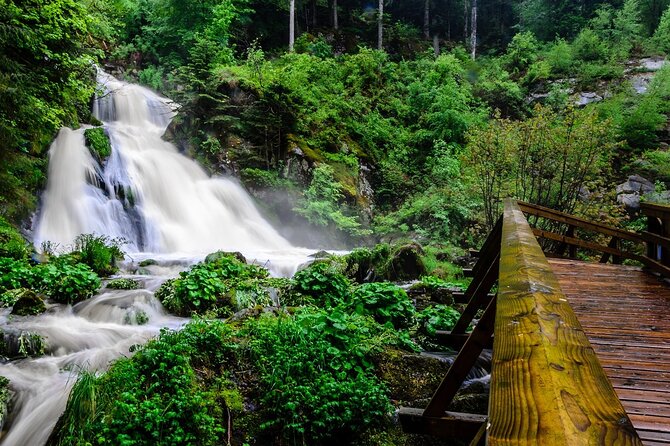 Private Full Day Tour in Baden's Black Forest - Authentic Experiences and Cultural Highlights