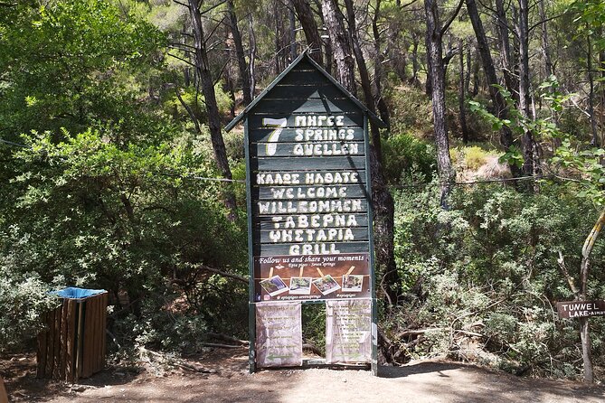 Private Full Day Tour of Rhodes, Lindos and 7 Springs - Analyzing the Value and Practicalities
