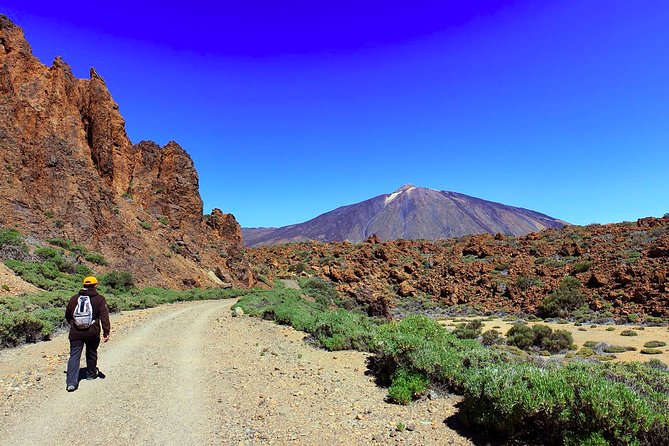 Private Full Day Tour to the Top of the Teide: go hiking and return in cable car - Practical Details and Considerations