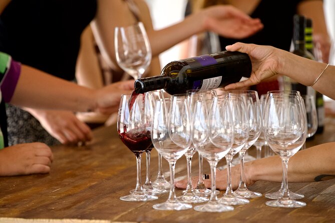 Private Full Day Wine Tasting Tour from Lisbon to Setubal - Practical Considerations