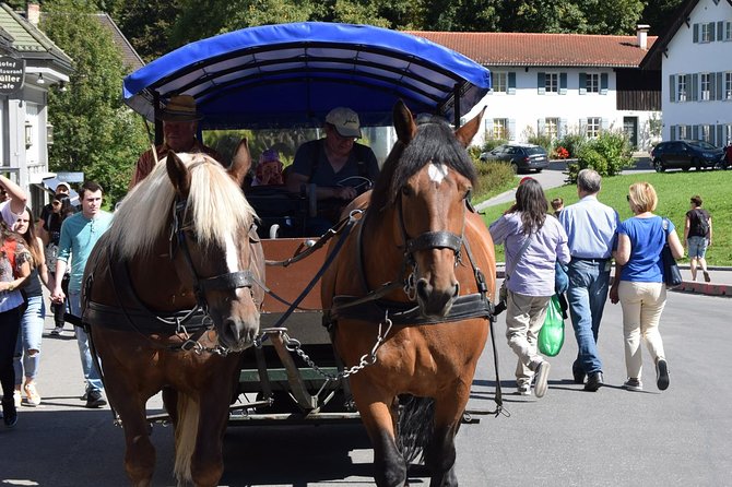 Private Guided Day Trip to Castle Neuschwanstein incl. Carriage Horse Ride - Is This Tour Right for You?