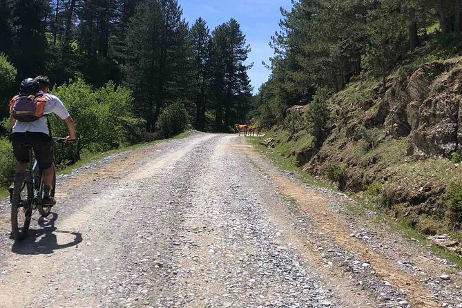 Private Guided E-Biking Tour on Mount Olympus - Who Would Love This Tour?