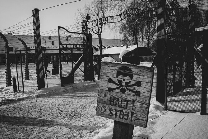 Private Guided Tour Auschwitz Birkenau with Transport from Krakow - The Practicalities: Pricing and Group Size