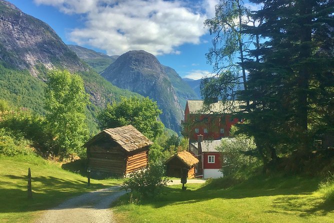 PRIVATE GUIDED TOUR: Highlights of Norway  Trip to the Sognefjord  SUMMER - Analyzing the Value