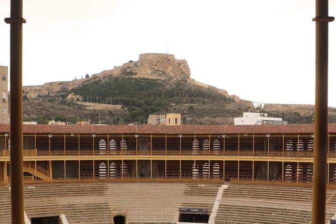 Private Guided Visit to the Alicante Bullring and Museum - Authentic Feedback from Travelers
