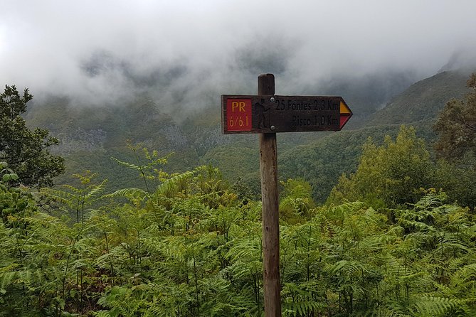Private Guided Walk Levada 25 Fontes - Authenticity and Accessibility