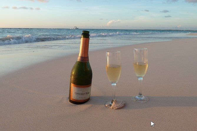 Private Half-Day Boat Tour in Ria Formosa from Faro - What’s Included and What to Consider