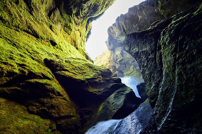 Private Half Day Iceland Tour with Guide and Vehicle - FAQ