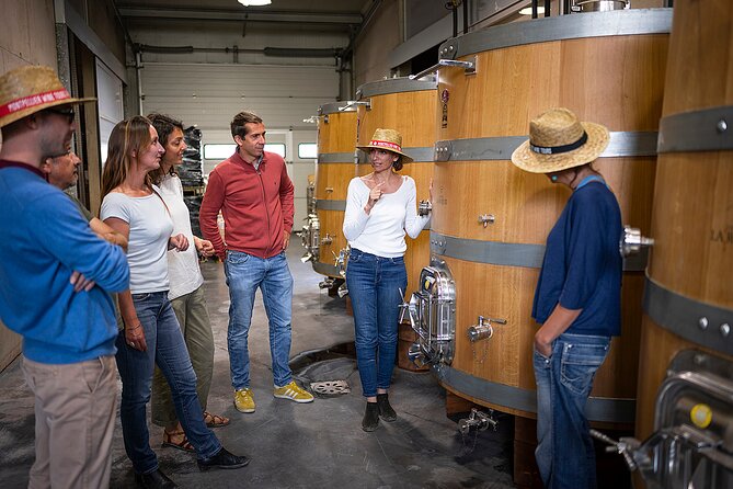Private Half-Day Languedoc Wine Tour from Sète - Benefits of the Tour Experience