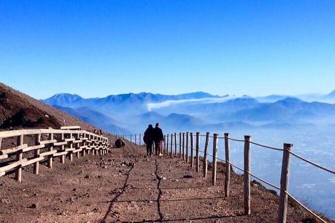 Private Half-Day Sightseeing Tour of Vesuvius National Park - Who Should Consider This Tour?