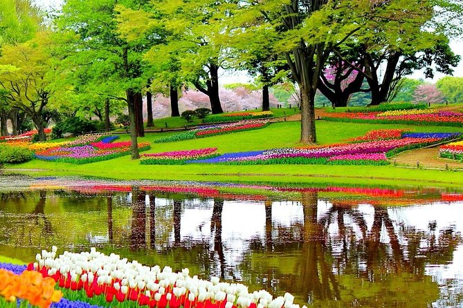 Private Half-Day Trip From Amsterdam to The Tulip Fields in Keukenhof - What to Expect and Consider