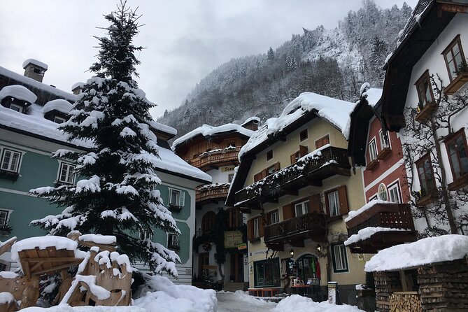 Private Hallstatt Tour with tour end in Vienna - Who Should Consider This Tour?