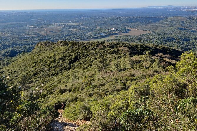 Private Hiking Adventure at Arrábida Mountain - The Detailed Breakdown of the Experience