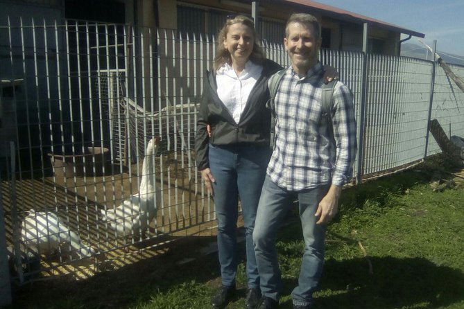 Private Horseback Riding Tour in Sicilian Countryside + Tradional lunch - Final Thoughts