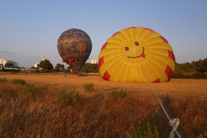 Private Hot Air Balloon Ride in Mallorca with Champagne and Snacks - Who Will Love This Tour?