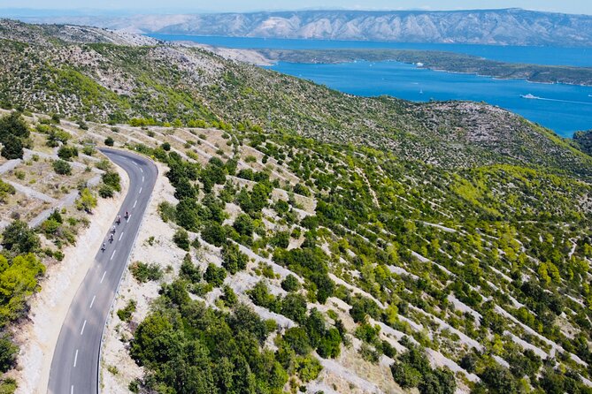 Private Hvar Island Bike Tour and Wine Tasting - The Highlight: Lacman Family Winery