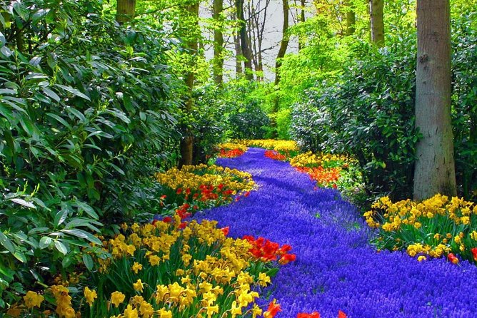 Private Keukenhof Tulip Fields Tour From Amsterdam(Skip-The-Line) - Considerations for Potential Bookers