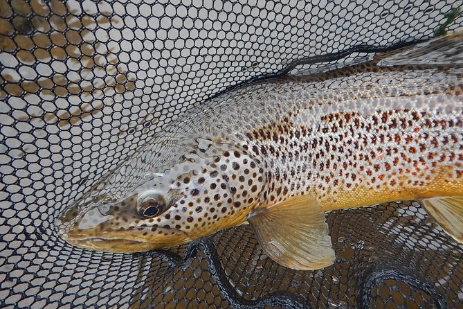 Private Lake and River Fishing Tour from Reykjavik - What’s Included and What’s Not