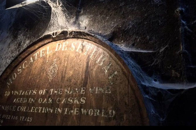 Private Lisbon Arrábida Wine Tour: Scenery, Food & Wines - The Sum Up