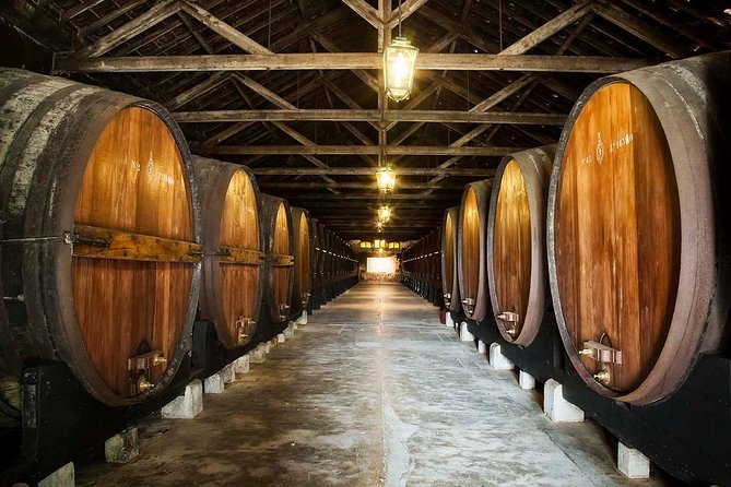 Private Lisbon wine tasting tour in the Setubal region - Detailed Breakdown of the Itinerary