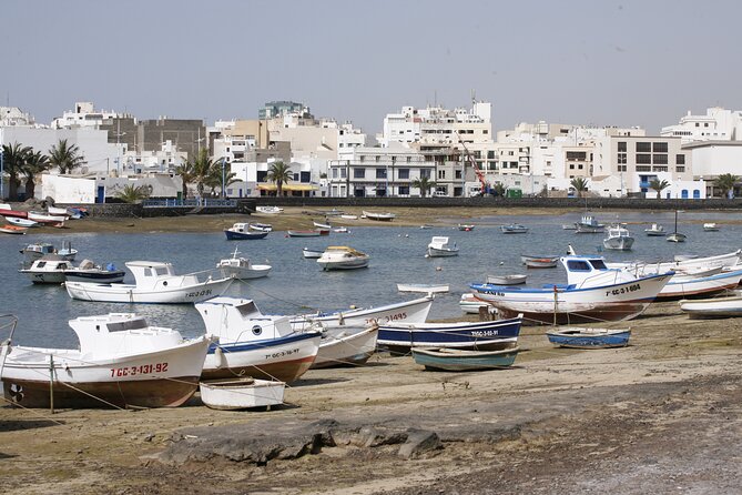 Private Luxury Full Day Tour of South of Lanzarote: Hotel or Cruise Port pick-up - Value and Practical Considerations