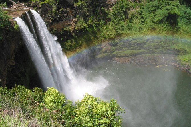 Private Luxury Tour of Kauai: South & West Shores - Who Will Love This Tour?