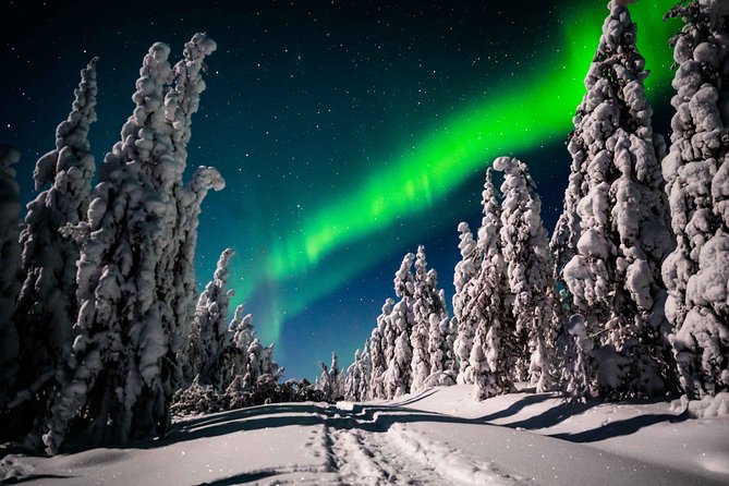 Private Northern Lights photography tour in Rovaniemi - Frequently Asked Questions