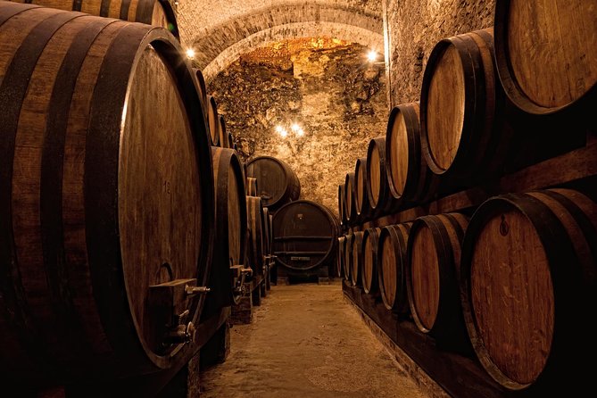 Private Porto Half Day Tour: Port Wine Cellars and Cheese Tasting - Who Will Love This Tour?