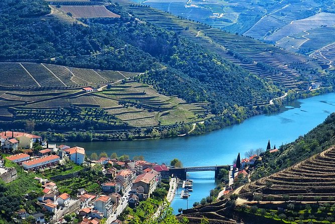 Private Premium Wine Experience through Douro Valley - Pricing and Value Considerations