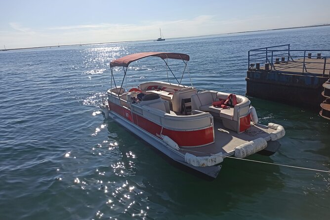 Private Ria Formosa Natural Park Boat Cruise from Faro - Who Should Consider This Tour?