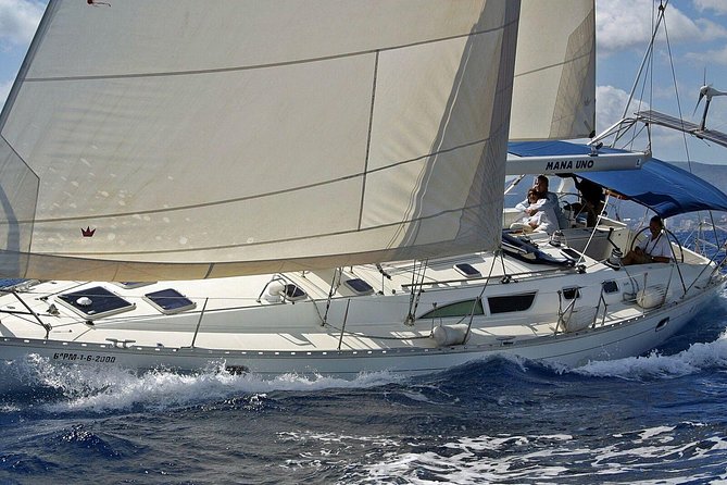 Private Sailing Through The Bay of Palma - What Makes the Itinerary Special?