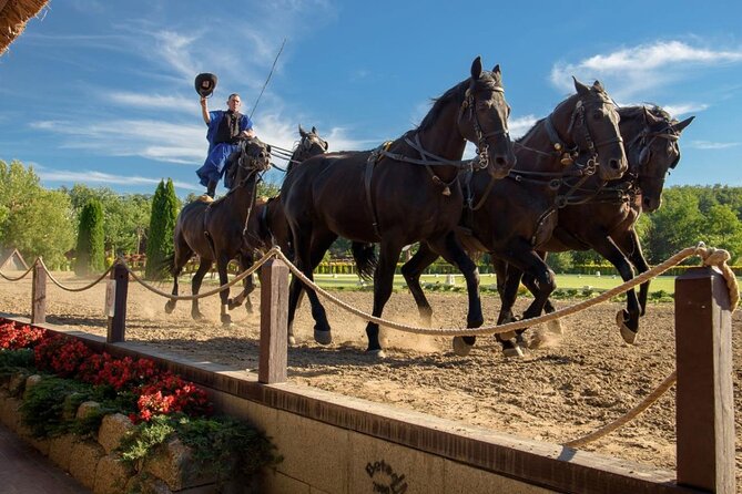 Private Sissi Palace tour in Godollo city with Puszta tour option - The Experience in Practice: What Travelers Say