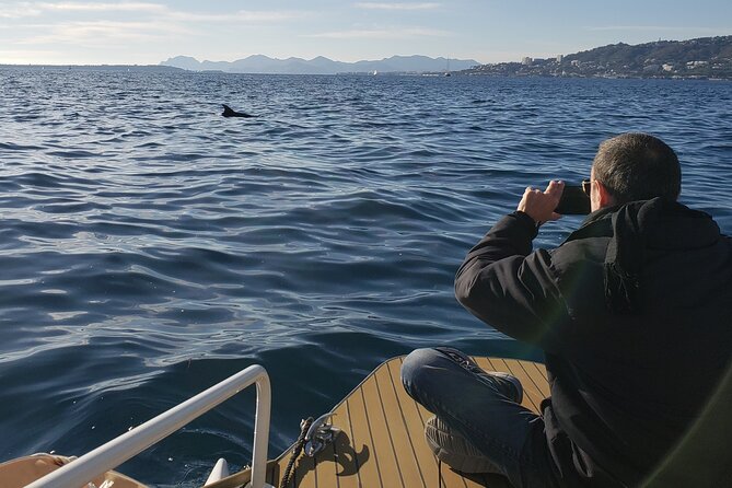 Private Solar Catamaran Cruise in Antibes Juan les Pins - The Experience from the Perspectives of Travelers
