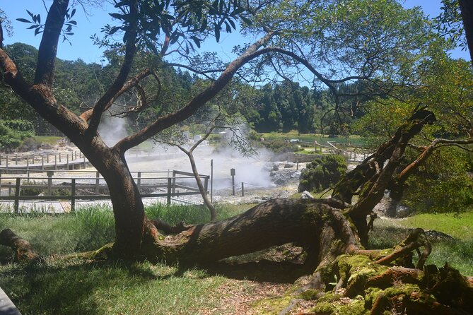 Private Tour Full-Day Furnas: Lake, Fumaroles and Thermal Pools - The Sum Up