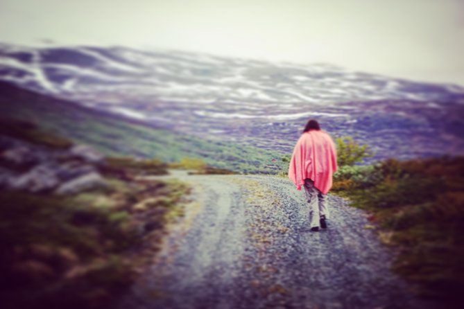 Private tour Geiranger and Glaciers 1 to 15 people - Detailed Itinerary Breakdown