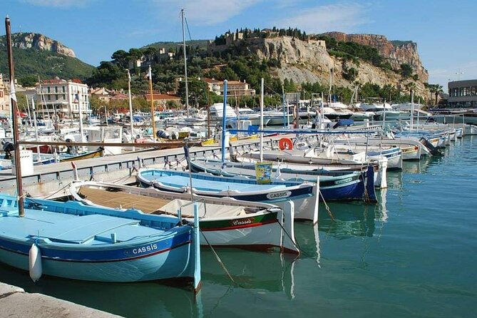 Private Tour in Aix en Provence with Wine Tasting - Who Should Consider This Tour?