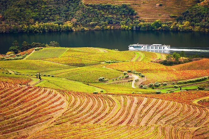 Private Tour in Douro - Final Thoughts: Is This Tour for You?