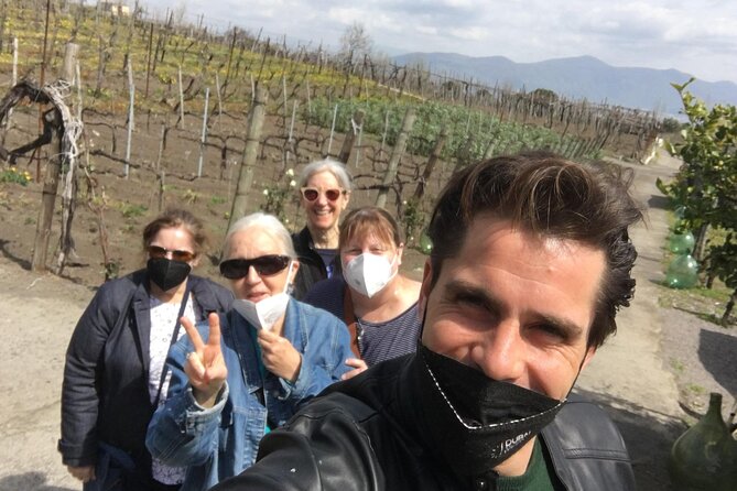 Private Tour in Pompeii Ruins and Pompeii City Center Winery - The Sum Up