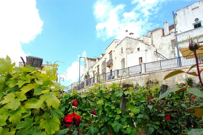 Private Tour in the Itria Valley - Practical Details and Considerations