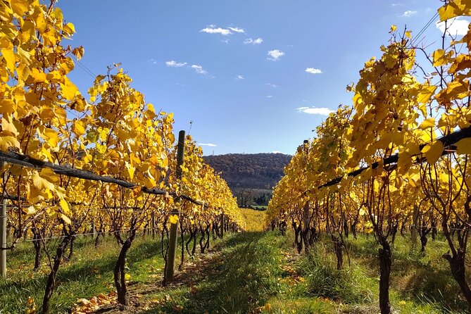 Private Tour & Lunch Of Underground Winery & Countryside Estate - Who Will Love This Tour?