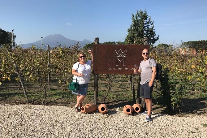 Private tour of Pompeii Ruins + Organic Wine and Lunch tasting - Authentic Experiences and Traveler Feedback